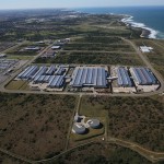 Gallery | East London IDZ SOC Ltd