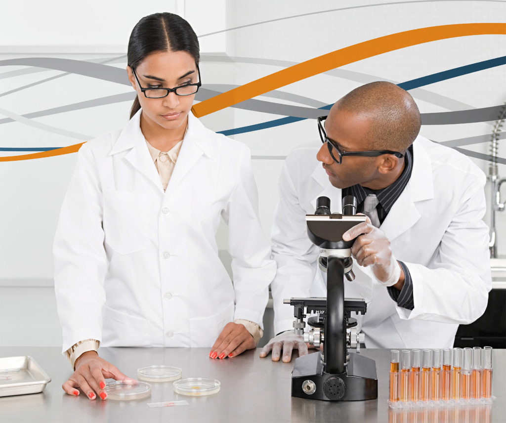 East London IDZ SOC Ltd - Industrial Development Zone