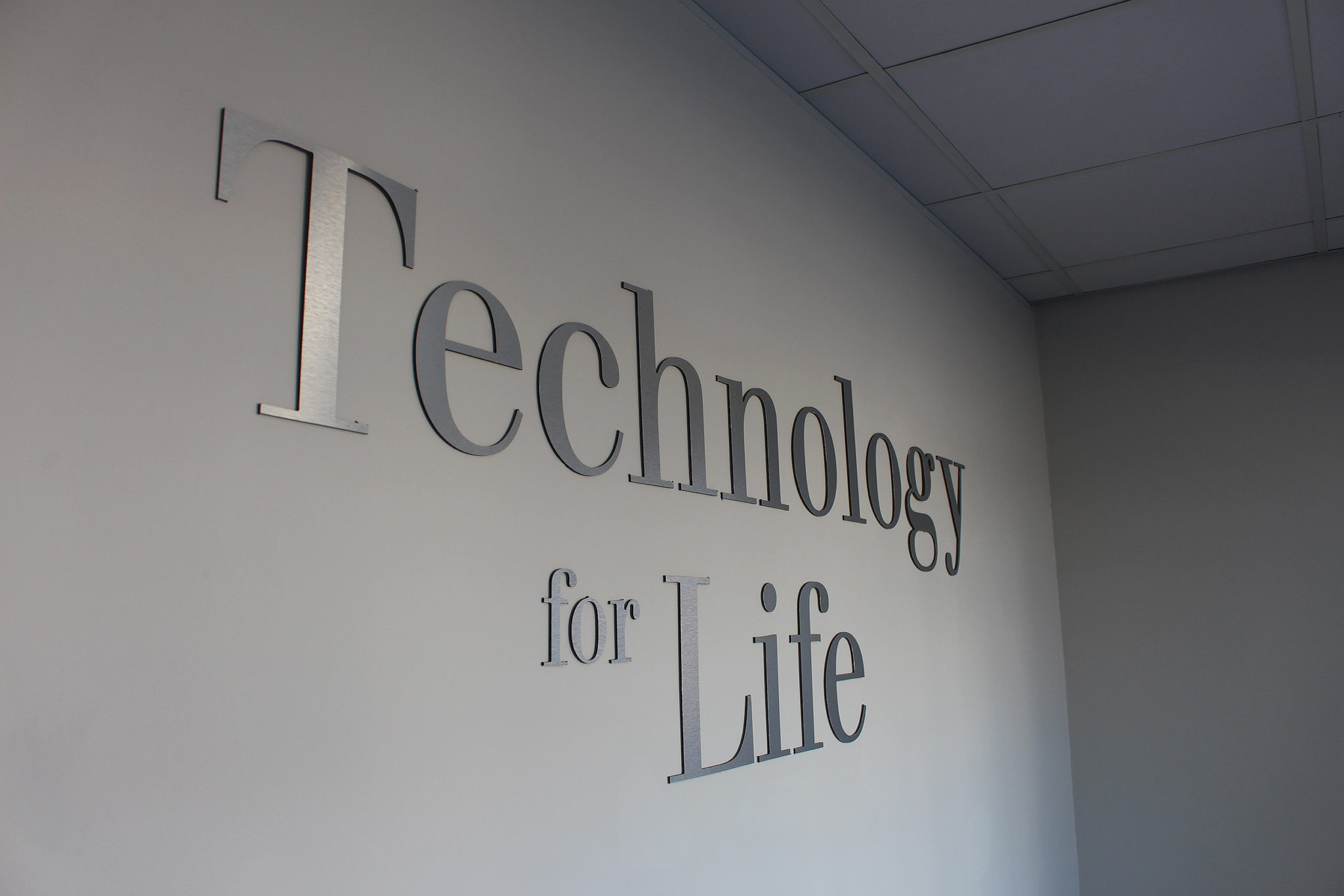 Gallery - East London IDZ SOC Ltd